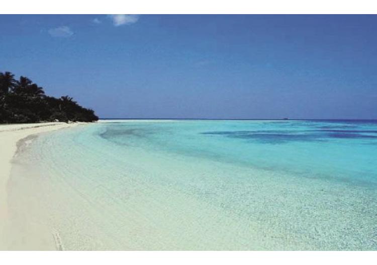 Immo Tulear - Ambatomilo, Ambohitsabo Tulear II, Terrain à bâtir - A ...